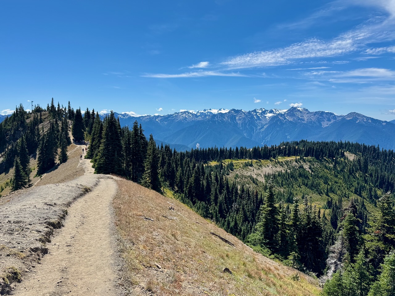 Olympic National Park: Hurricane Ridge and Sol Duc Valley | LANDMARK ...
